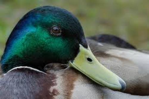 I've got my eye on you! by Pipkin Ranch Outfitters