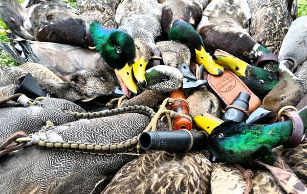 Pipkin Ranch Outfitters | Southeast Texas Hunting Guides & Outfitters